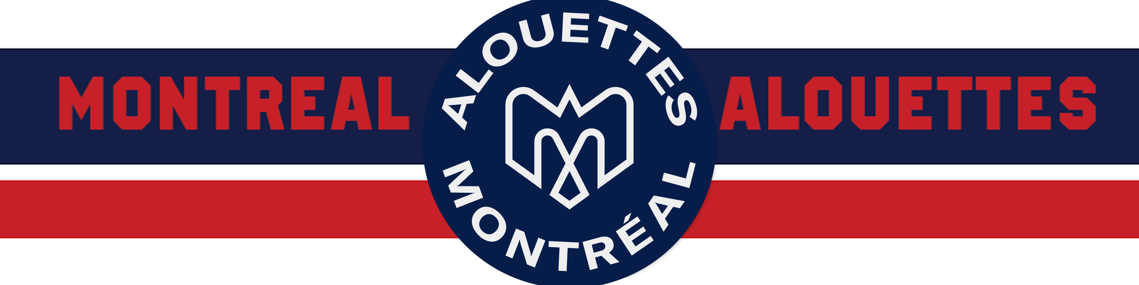 Qidigo — Studio Innova Danse — Audition Alouettes de Montréal 2024 ...