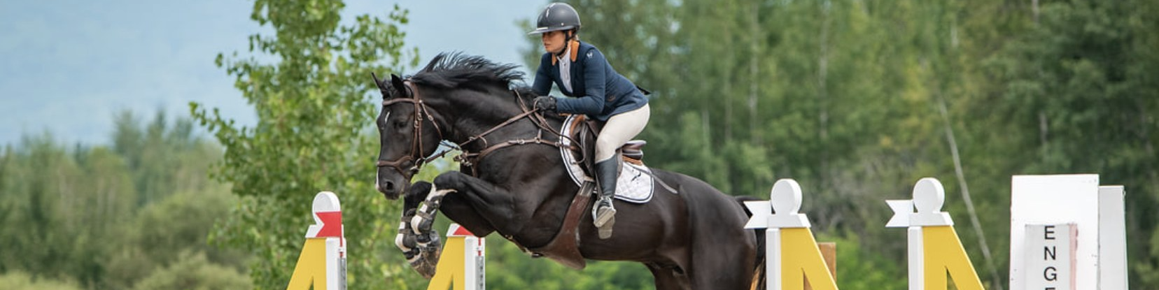 Qidigo — Centre Équestre Pré Vert